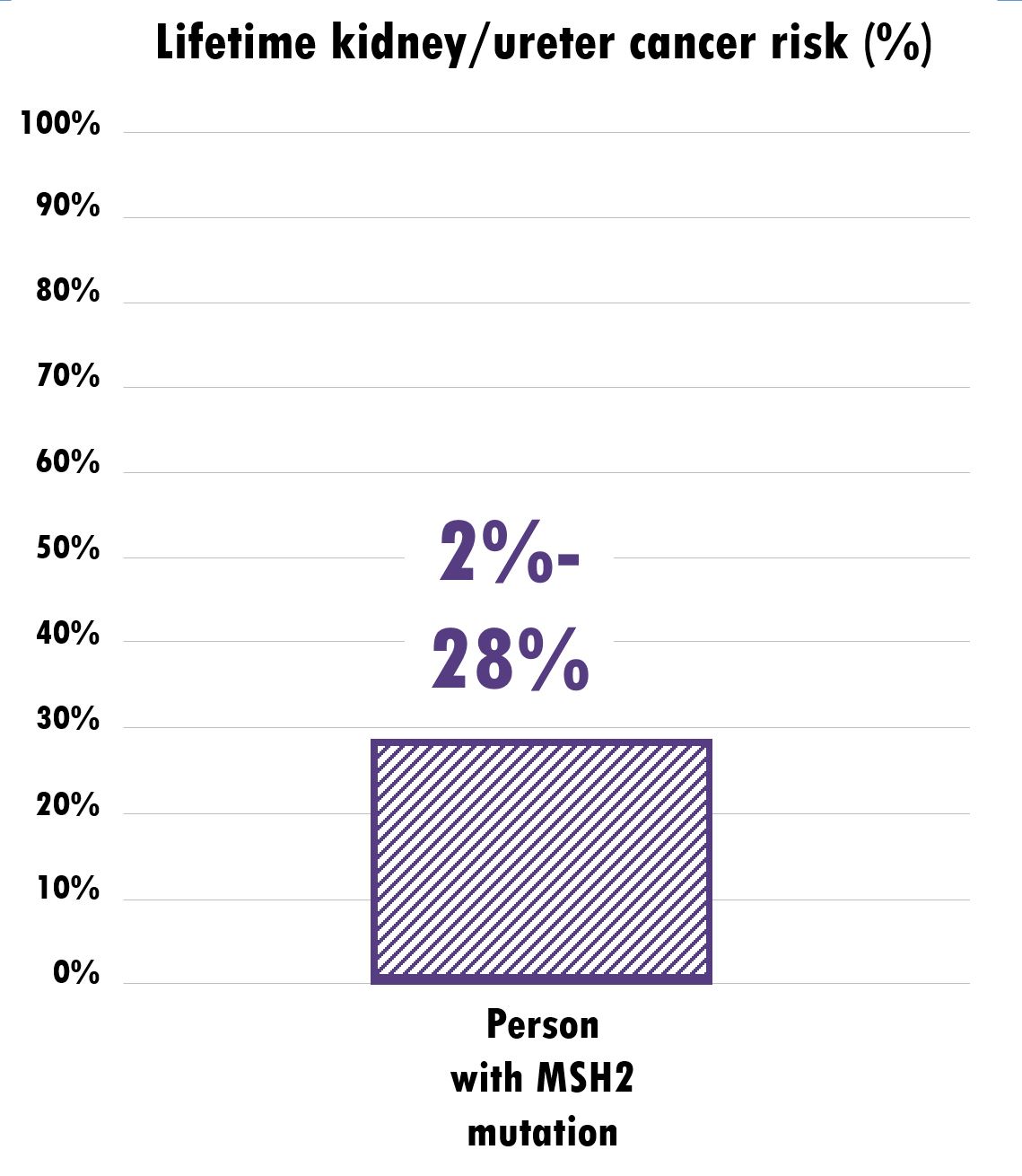 Cancer risk and MSH2 gene mutations