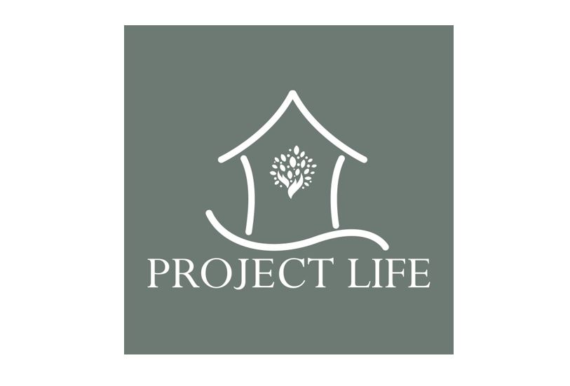 Partnerships: Introducing Project Life
