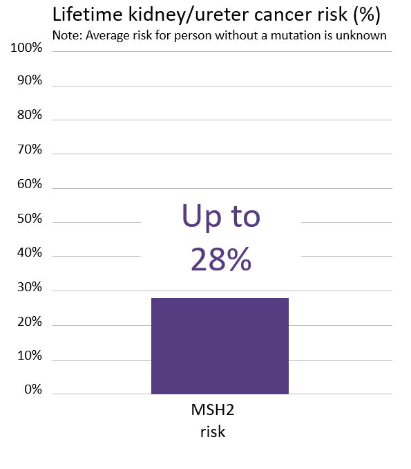 Cancer Risk for People with an MSH2 Mutation